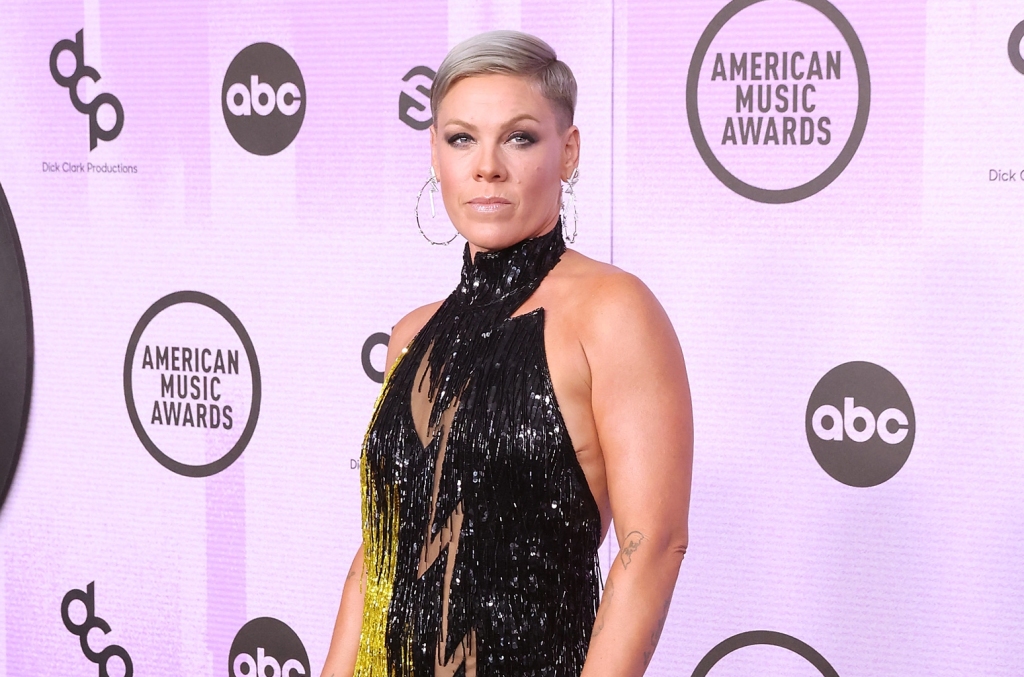 Pink Talks ‘Trustfall,’ Trauma and Making It In The Music Industry ...